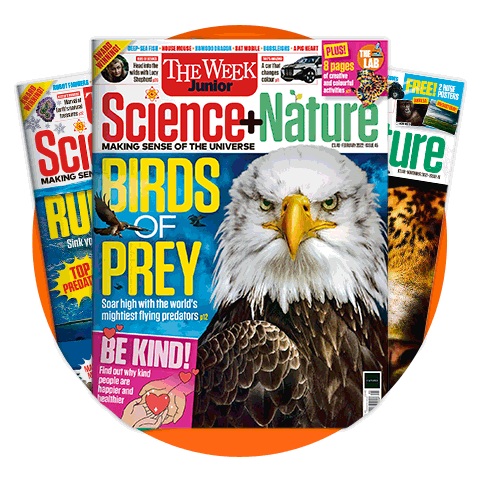 TWJ Science+Nature | Ignite your child's passion for discovery